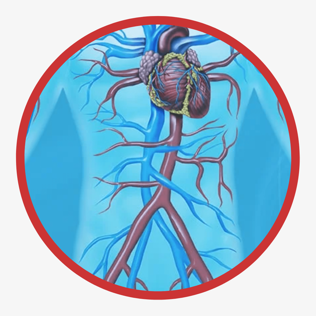 Merit Medical Systems